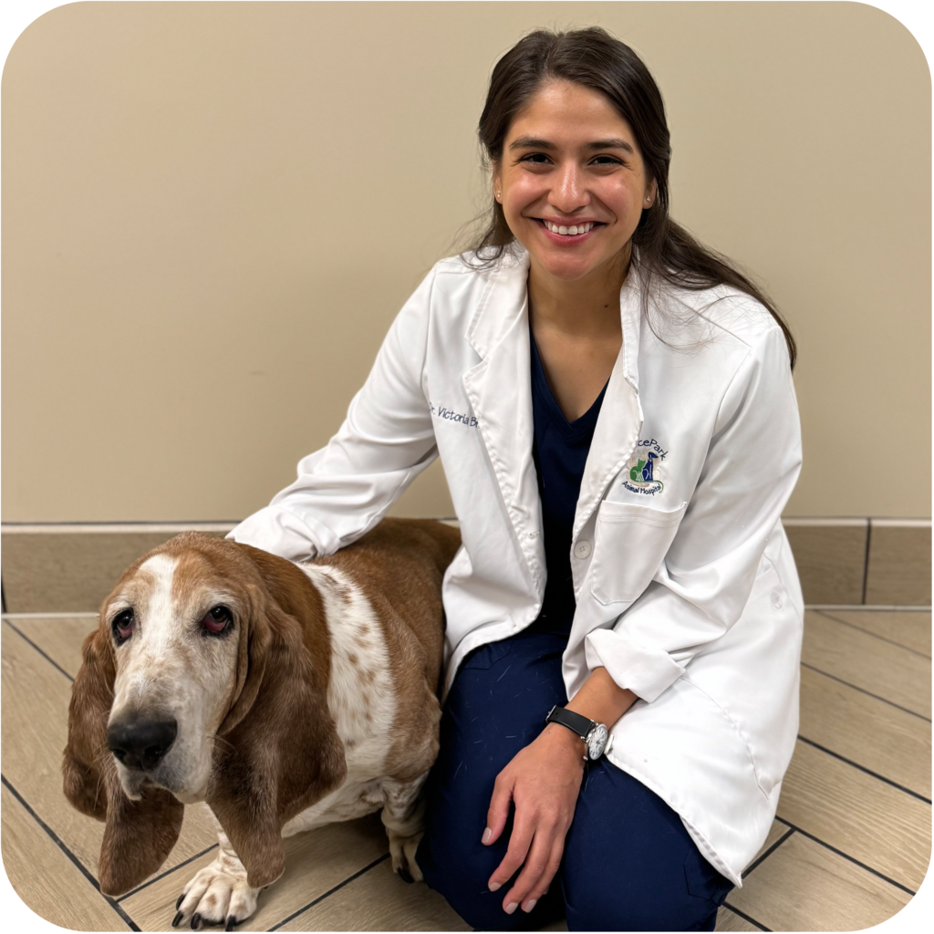 Victoria Brister, DVM - Grace Park Animal Hospital