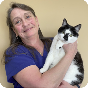 Carol Tice, DVM - Grace Park Animal Hospital